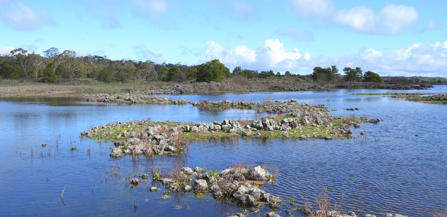 Tae Rak (Lake Condah) Guided Cultural Tours - Budj Bim