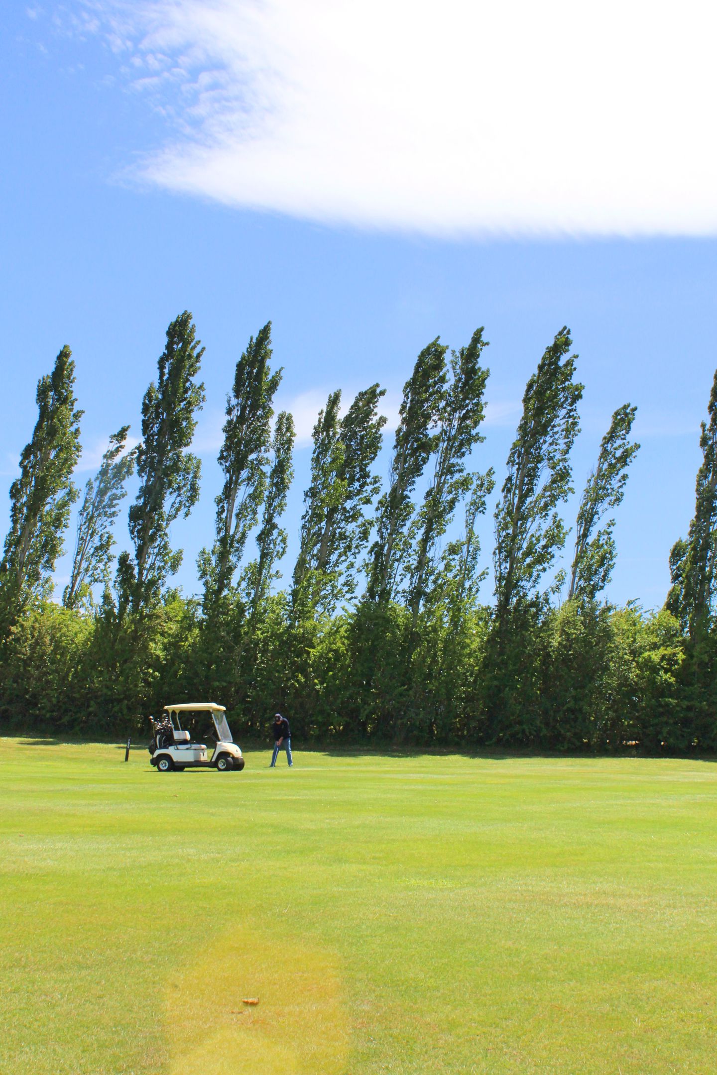 Quamby Estate | Golf Course